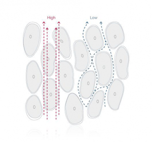 InBody Technology - InBody Asia - Why Our BIA Devices Are The Best