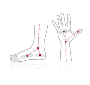 InBody Technology - InBody Asia - Why Our BIA Devices Are The Best