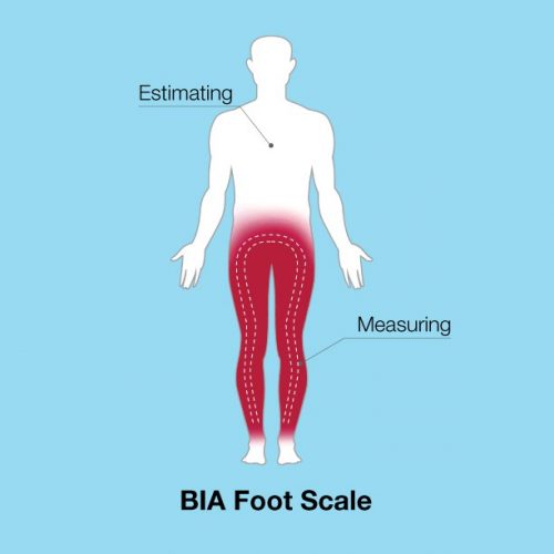 InBody Technology - InBody Asia - Why Our BIA Devices Are The Best