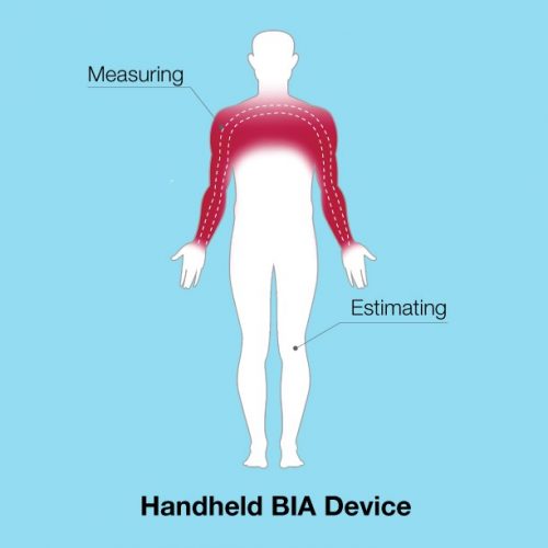 InBody Technology - InBody Asia - Why Our BIA Devices Are The Best