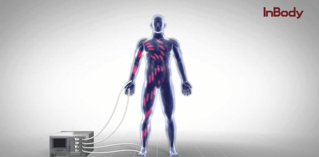 InBody Technology - InBody Asia - Why Our BIA Devices Are The Best