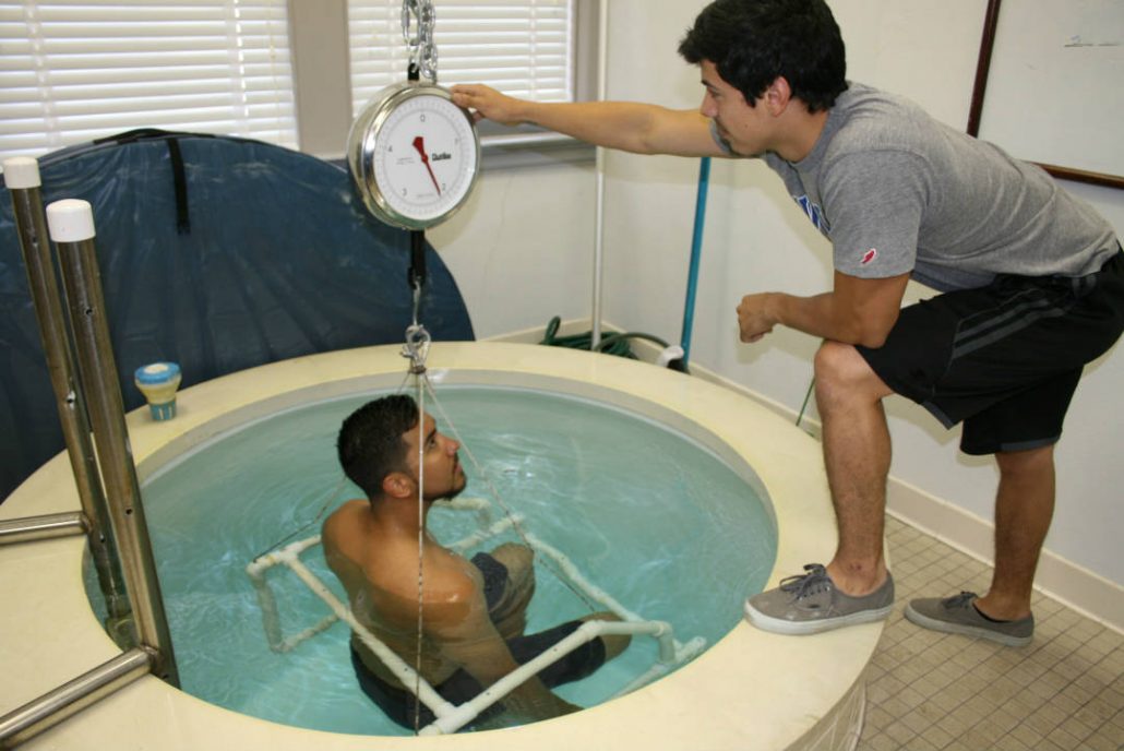 What is Body Composition - InBody Asia - More Than Just Fat and Muscle