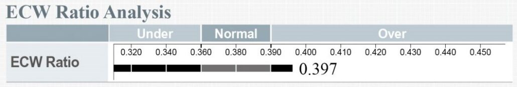 ECW Ratio: The Overlooked Health Indicator About Inflammation - InBody Asia