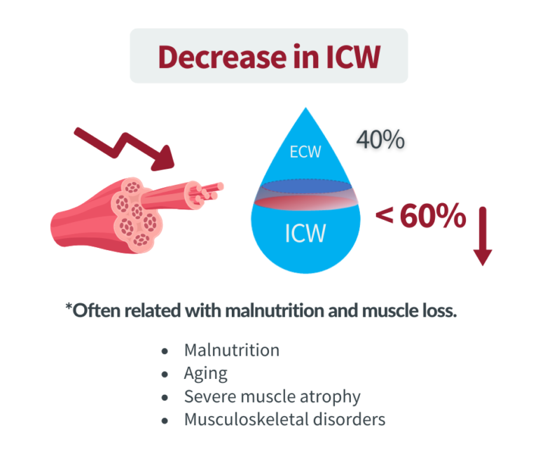 ECW Ratio: Sarcopenia's Unseen Predictor You Need to Know - InBody Asia