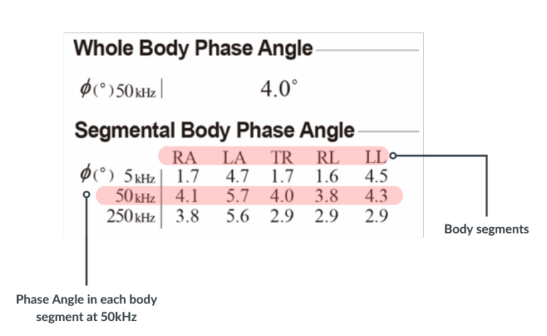 The Importance of Phase Angle for Athletes' Performance - InBody Asia