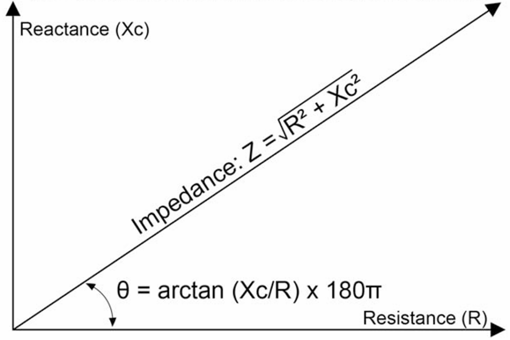 Phase Angle Explained: How to Interpret & Connection with Body Composition