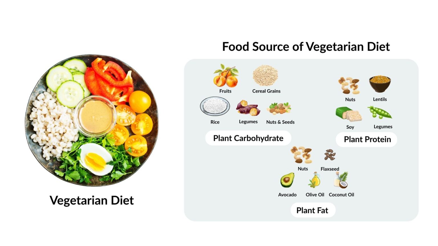 How Different Diets Proven to Alter Your Body Composition